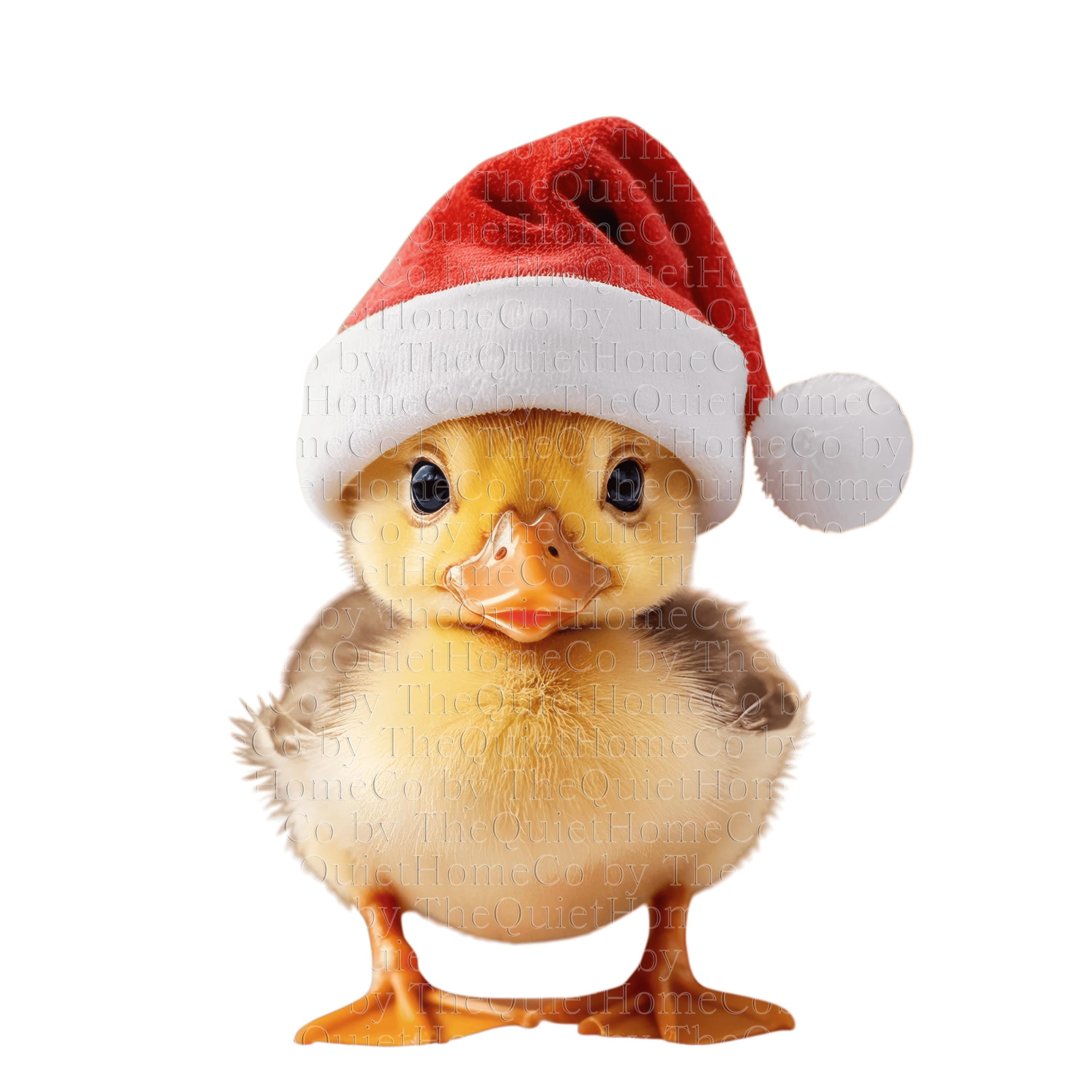 19 Christmas Duckling Clipart PNG Set | Watercolor Santa Hat Baby Duck ...