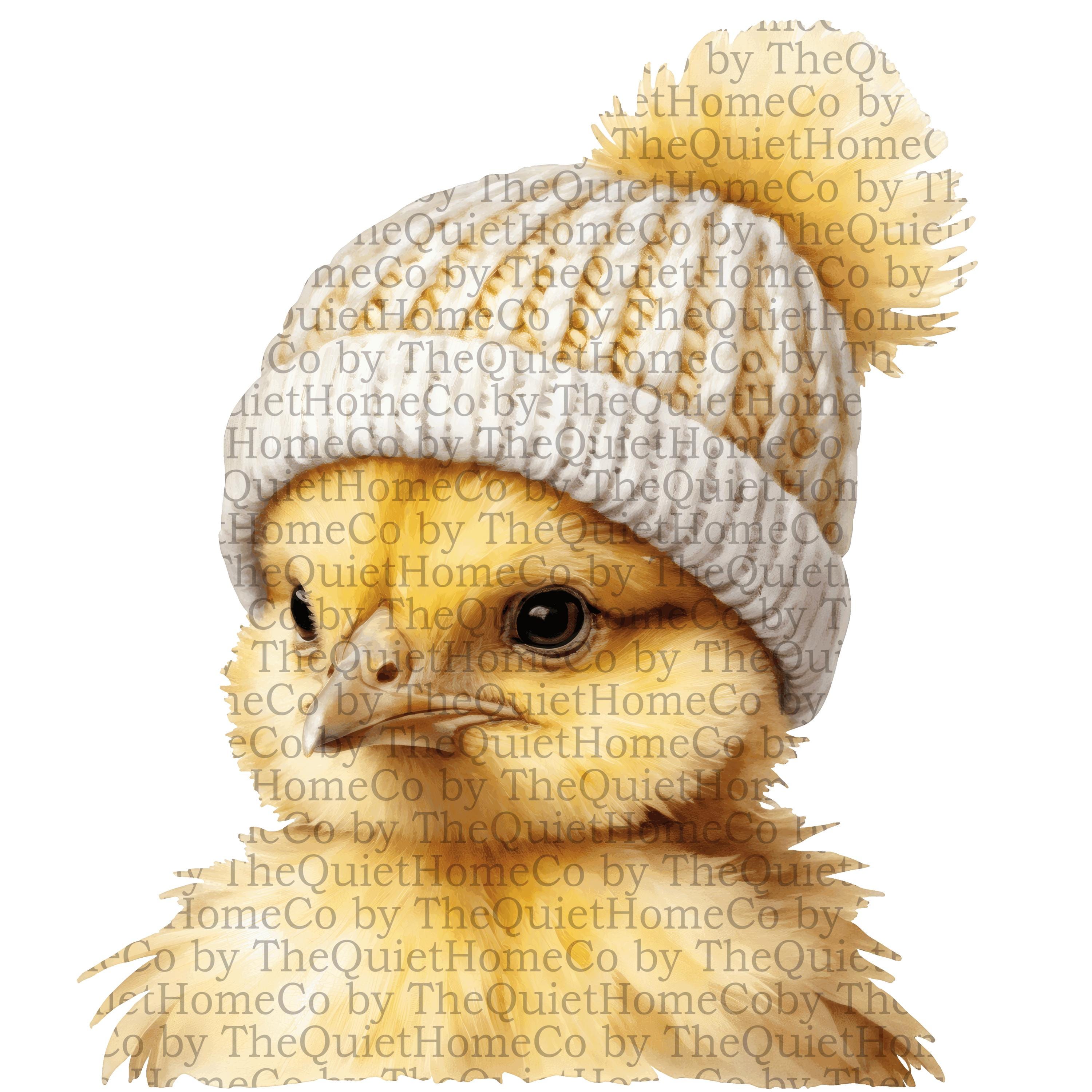 13 Winter Chick PNG Clipart Set | Watercolor Baby Chicks in Knit Hats ...