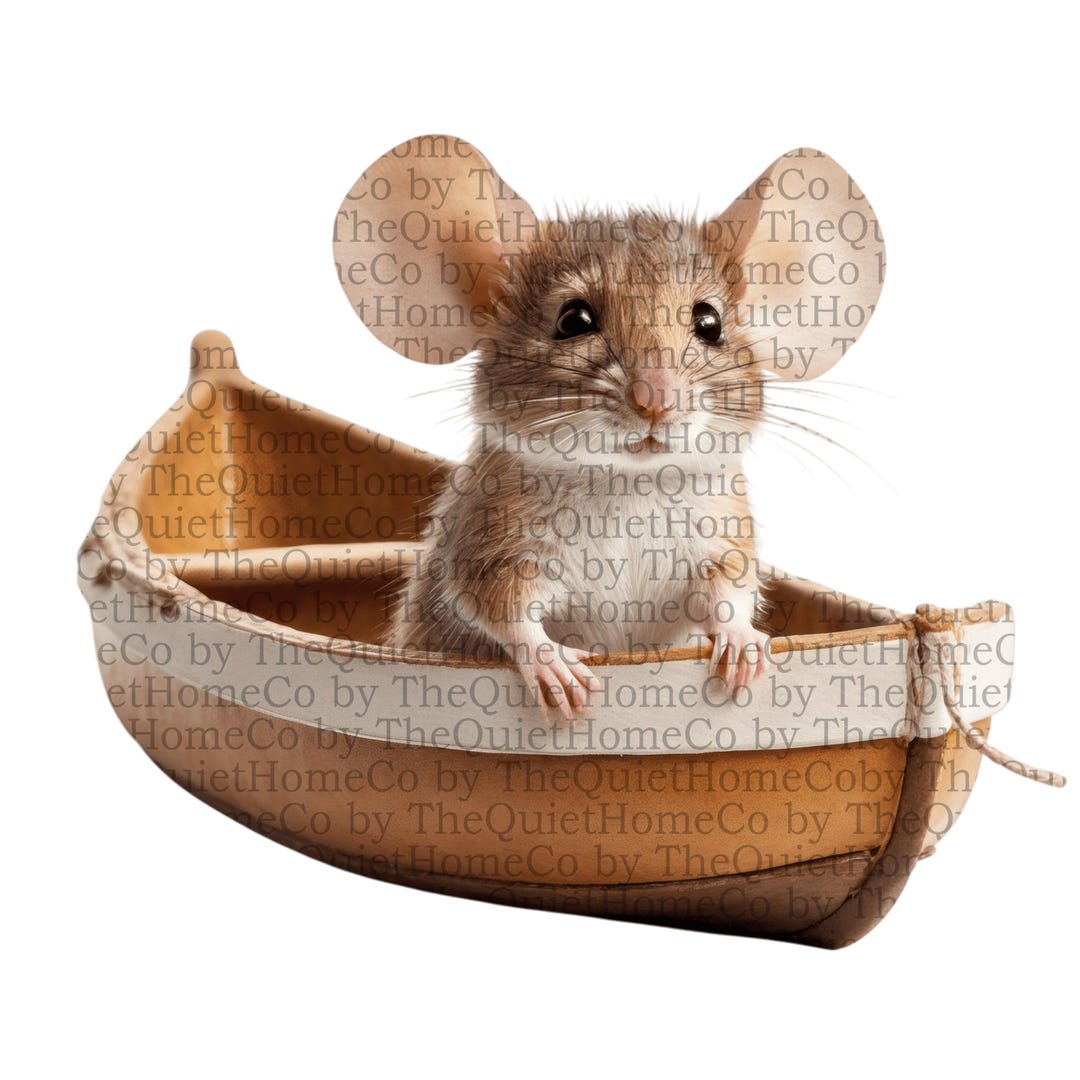 18 Watercolor Mouse in Boat Clipart PNG | Whimsical Sailing Mice ...