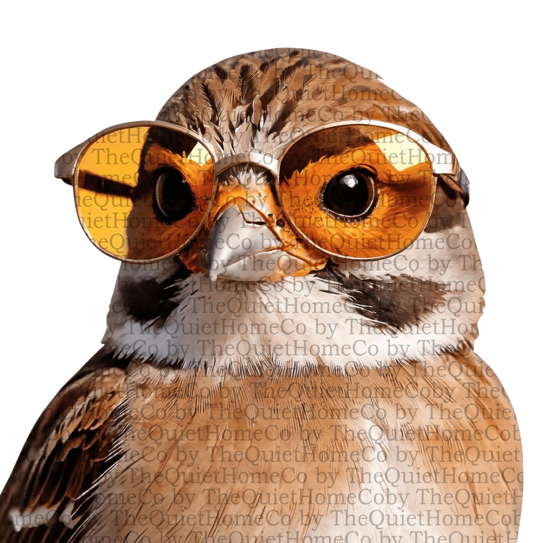 19 Cool Sparrow Clipart Set | PNG Watercolor Sparrows in Sunglasses ...