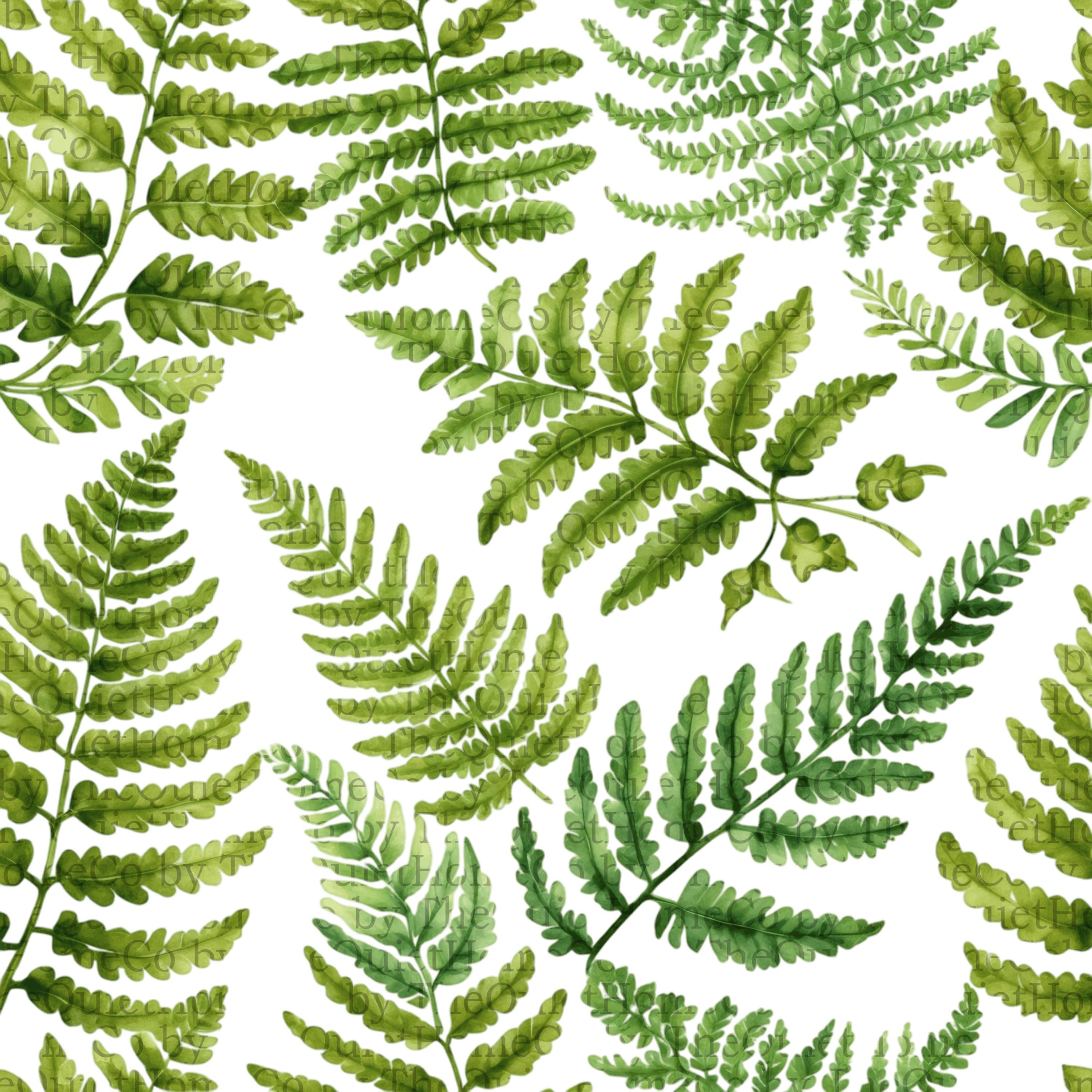 20 Watercolor Fern Leaf Clipart Set | Botanical PNG Illustrations ...