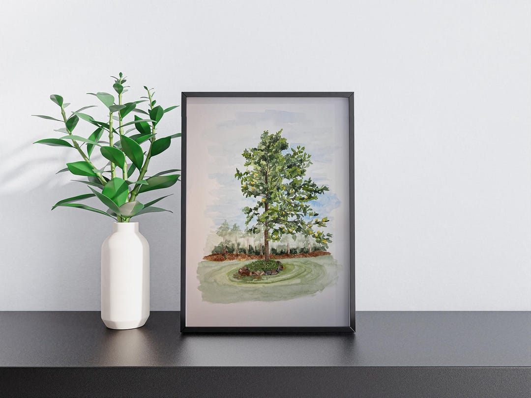 Tulip Poplar Tree, ORIGINAL (not Print) 10 1/4 X 14 1/4 Watercolor ...