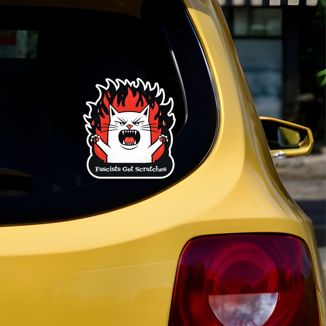 Anti Fascism Sticker, Anti Trump, Fascists Get Scratches Cat Bumper ...