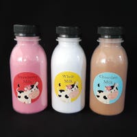 Pretend Food Milk Bottle, Pretend Food for Play Kitchen Grocery Stores ...