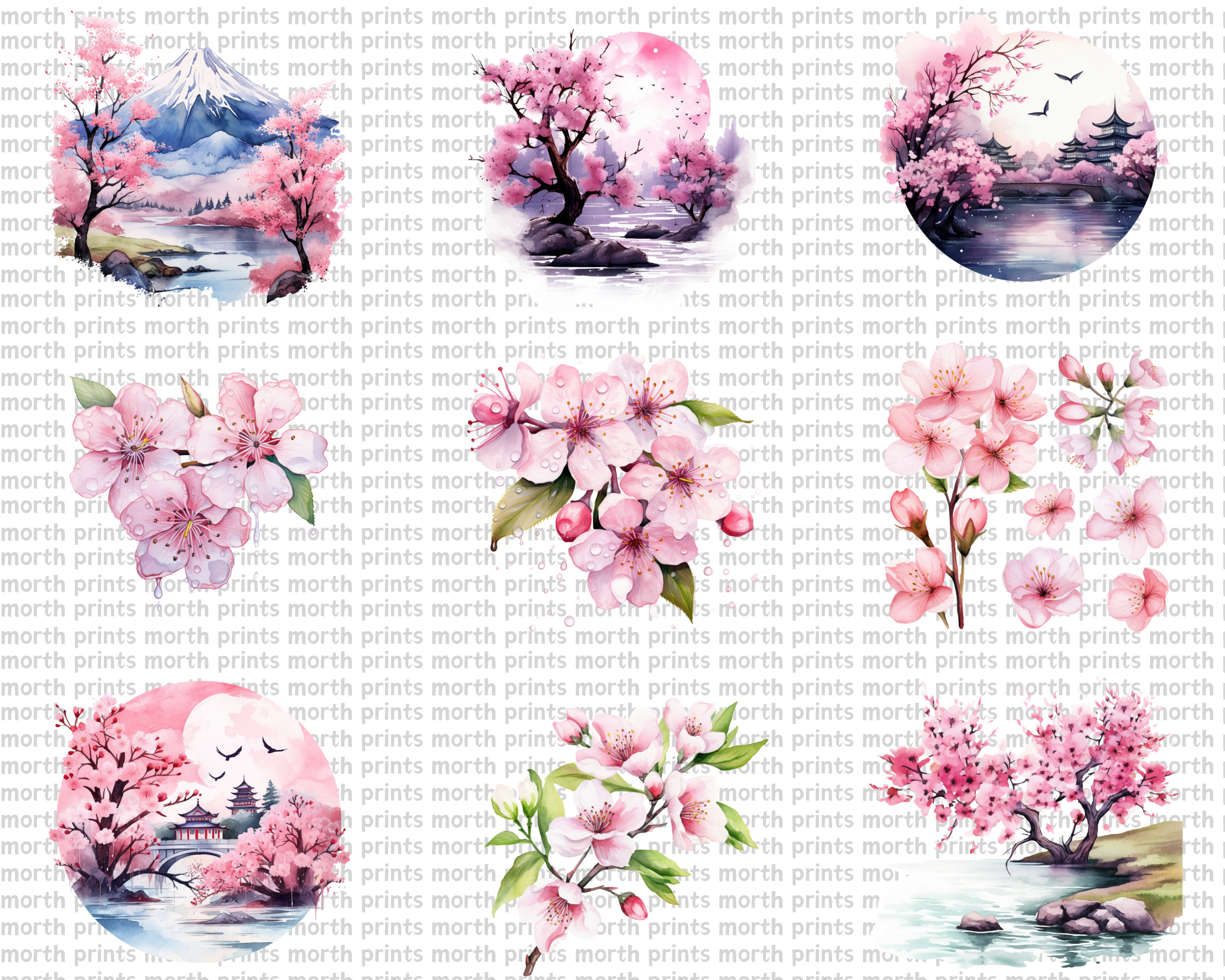 Watercolor Sakura Clipart PNG, Cherry Blossom Branches, Spring Flowers ...
