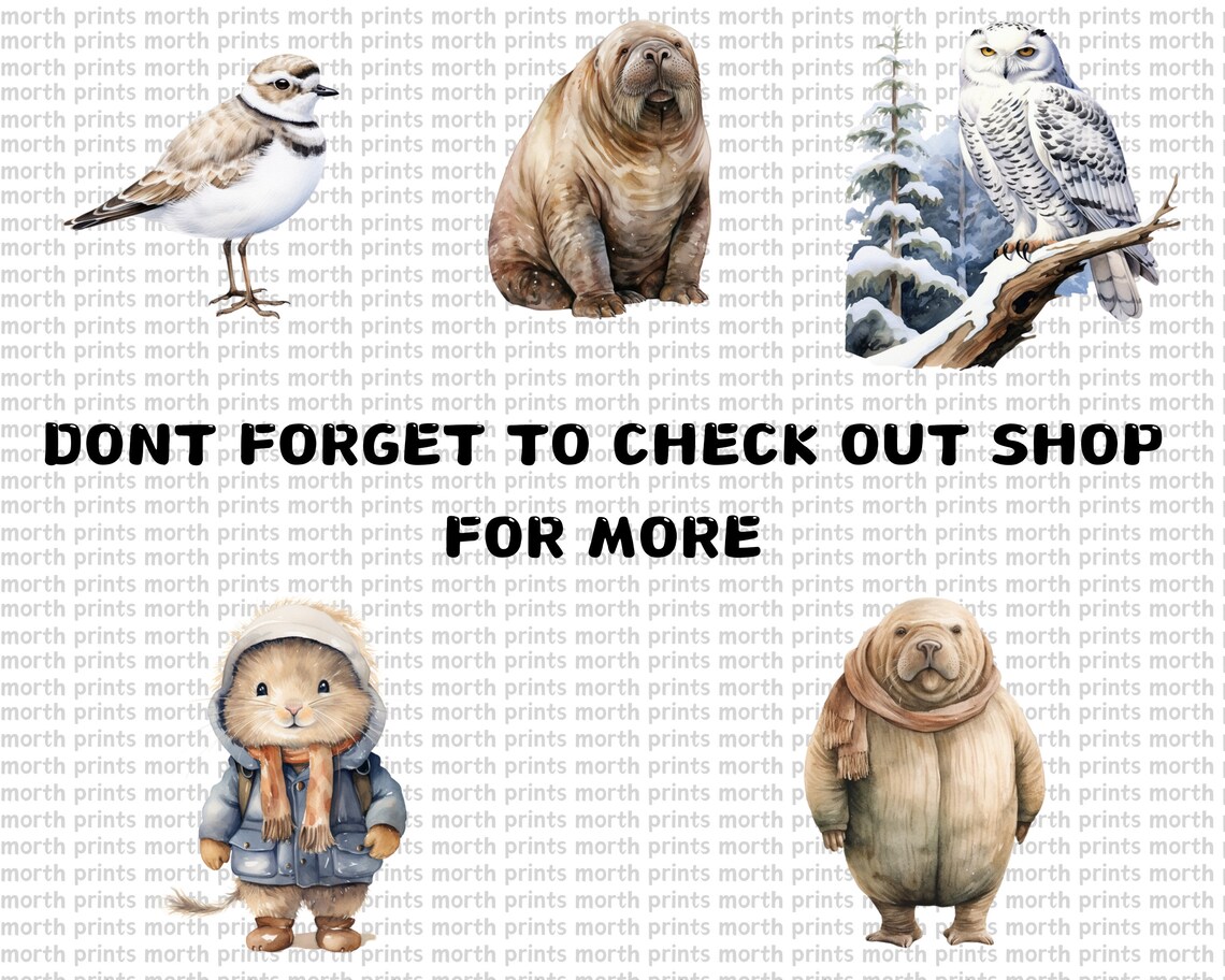 50 Watercolor Winter Animals Clipart polar Bear, Penguin, Snow Leopard ...