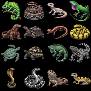Reptile Clipart: 16 PNG Animal Illustrations (commercial Use) - Etsy