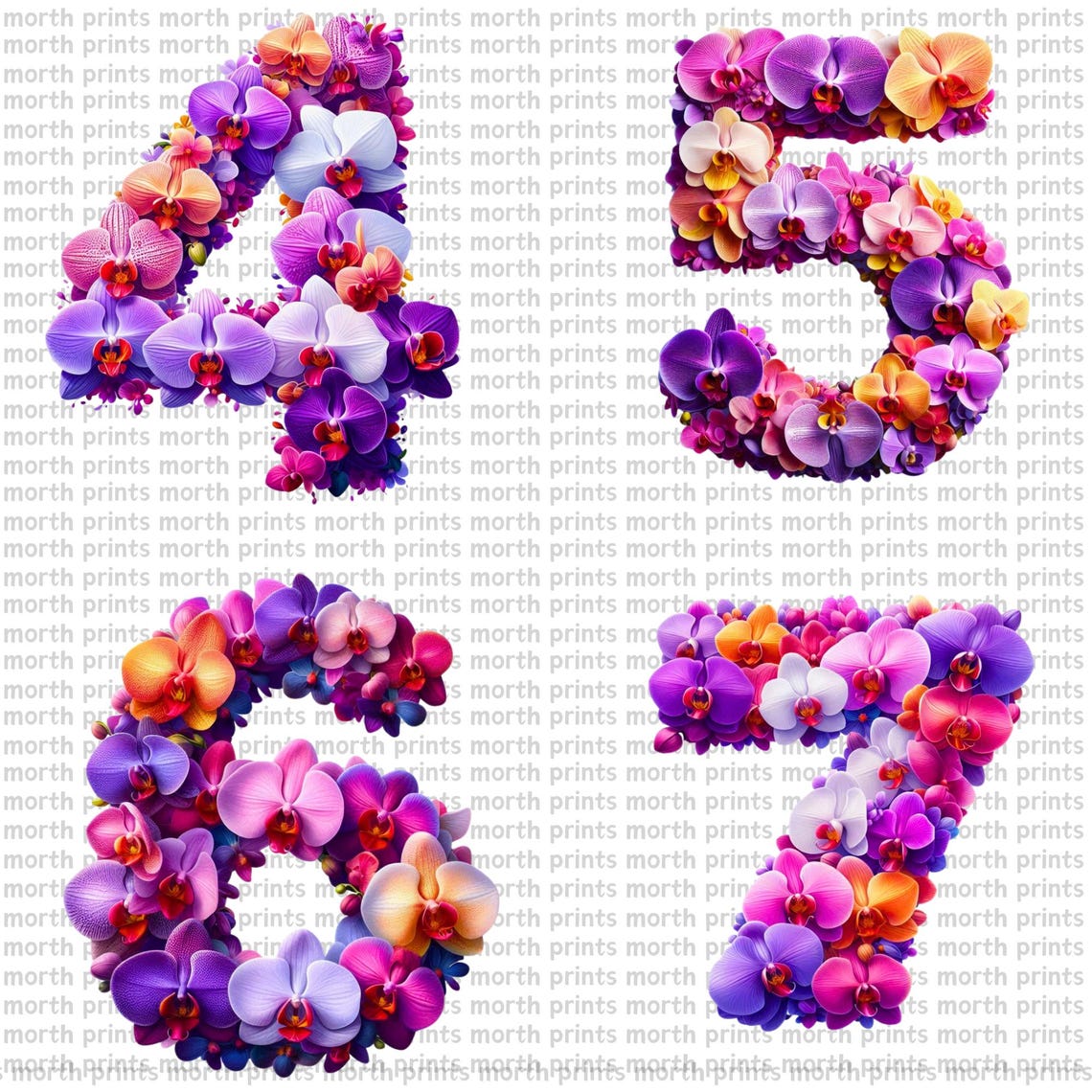 Orchid Floral Alphabet Clipart PNG, A–Z Letters With Orchid Blooms ...