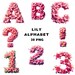 Lily Floral Alphabet Clipart PNG, Elegant A–Z Letters, 38 PNG Files ...
