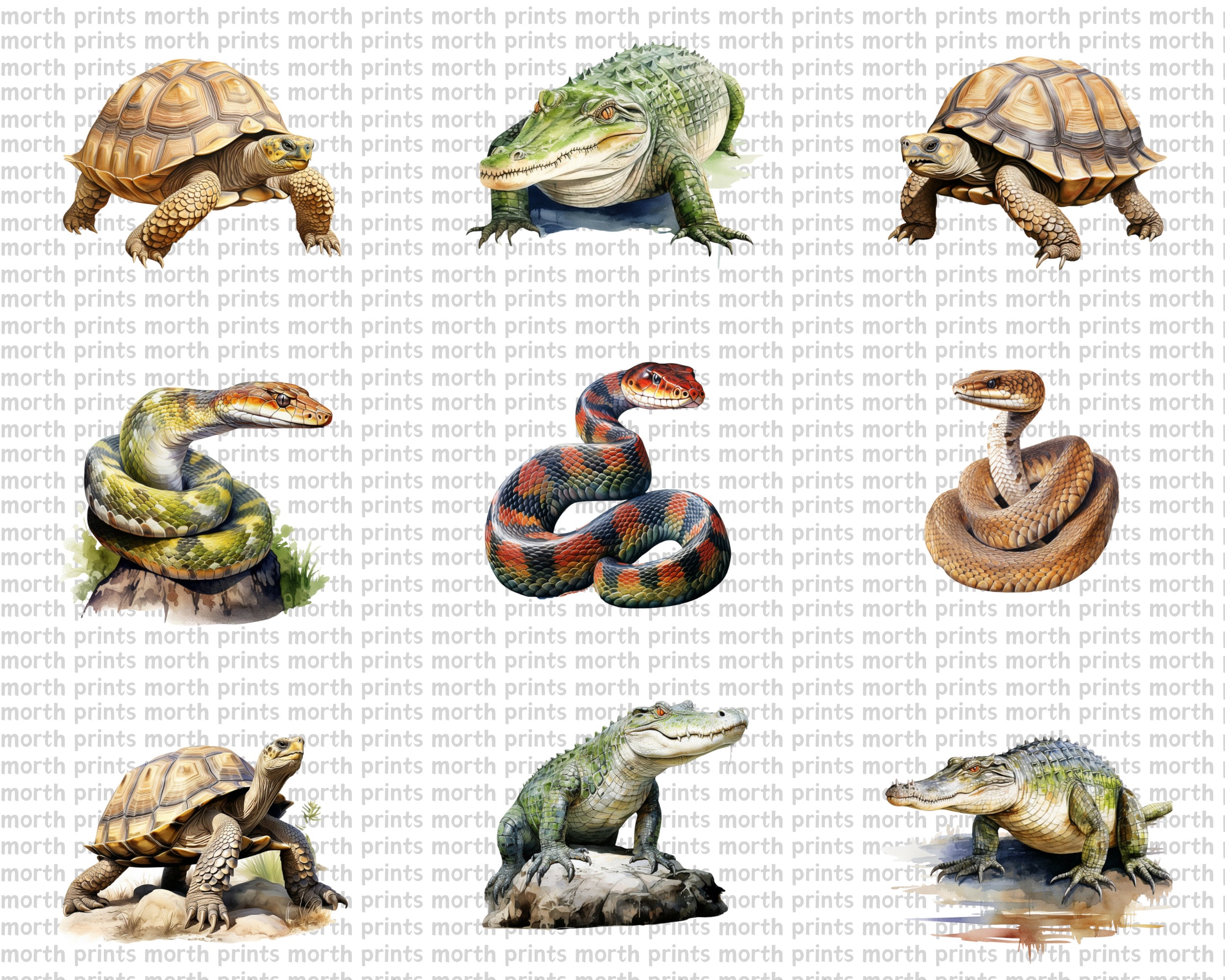 Watercolor Reptiles Clipart, Snake, Lizard & Turtle, 45 PNG Files, 300 ...