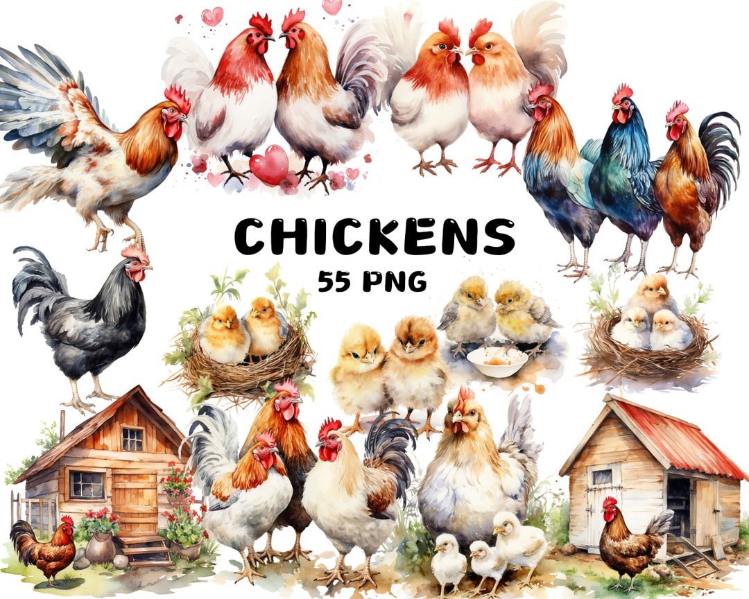 Watercolor Chicken Clipart PNG, Rooster Hen Chick, Farm Animals, 55 PNG ...