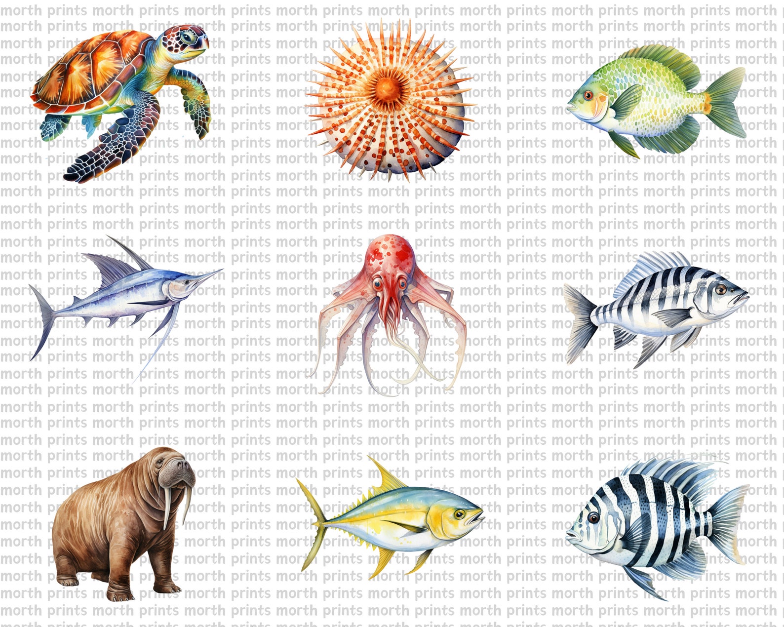50 Watercolor Sea Life Clipart Octopus, Penguin, Turtle, Clownfish ...