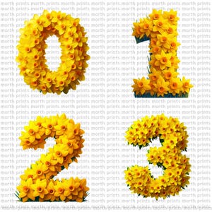 38 PNG Daffodil Alphabet Clipart , Alphabet PNG, Floral Clipart, Floral ...