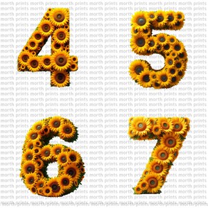 38 PNG Sunflower Alphabet Clipart Alphabet PNG, Floral Clipart ...