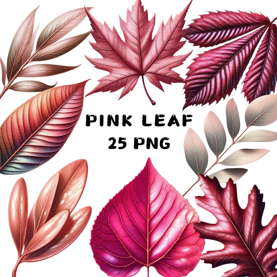 25 PNG Pink Leaf Clipart , Leaf Png, Glitter Png, Autumn Clipart, Fall ...