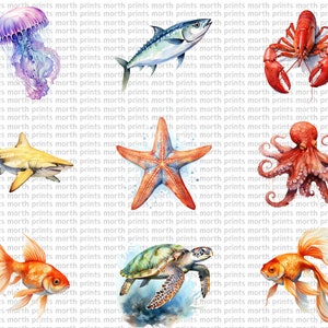 50 Watercolor Sea Life Clipart , Octopus, Penguin, Turtle, Clownfish ...
