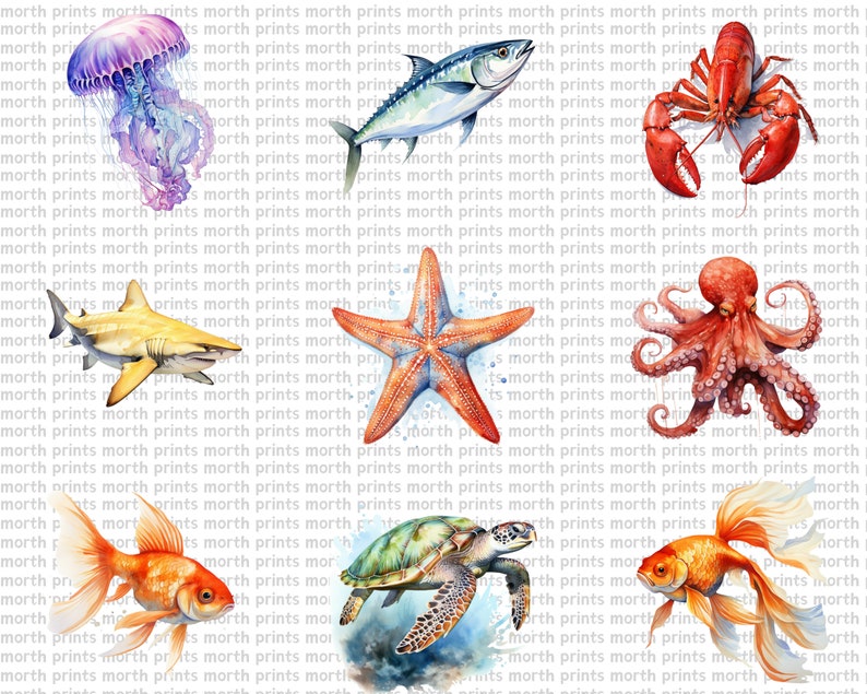 50 Watercolor Sea Life Clipart Octopus, Penguin, Turtle, Clownfish ...
