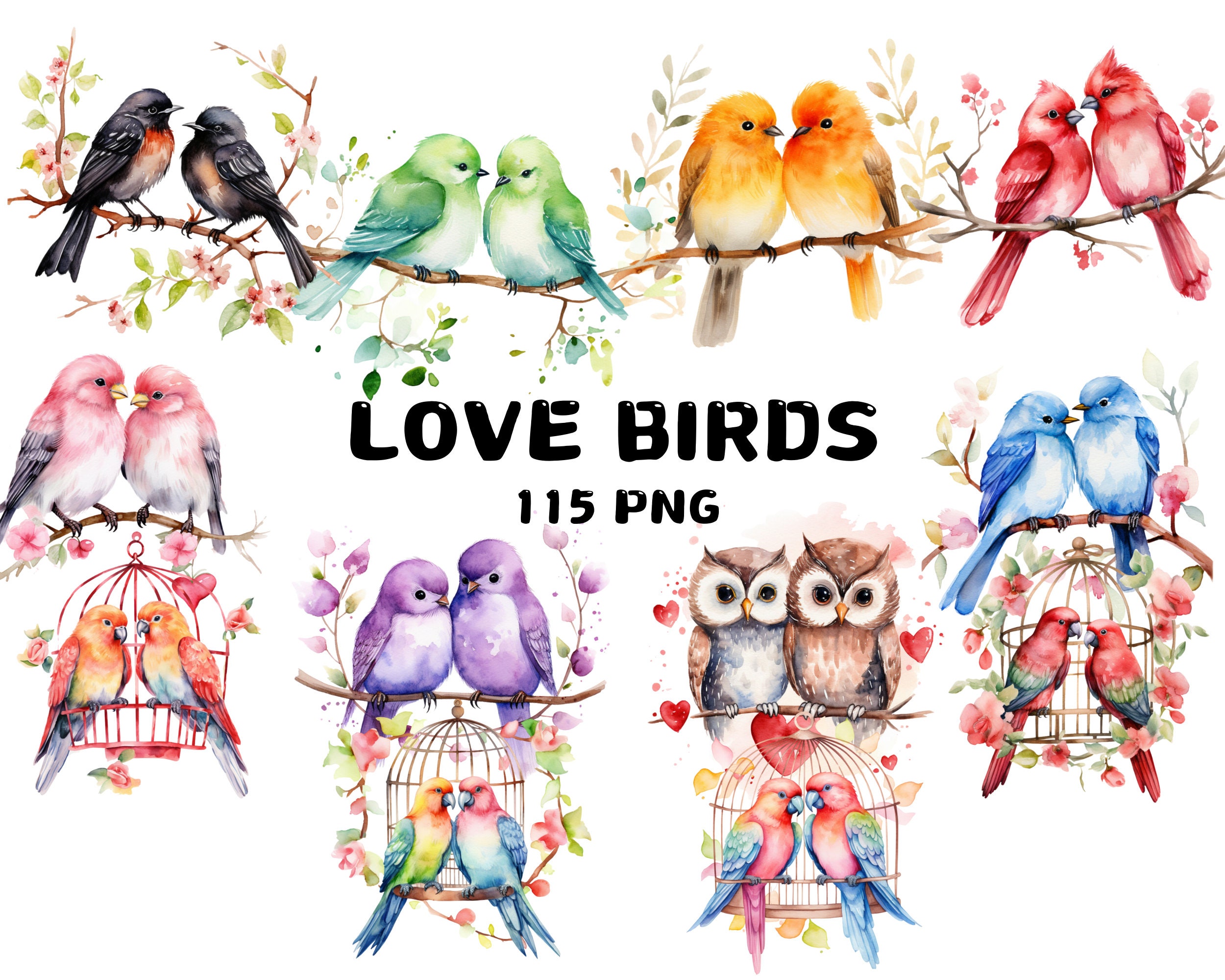 Watercolor Love Birds Clipart PNG, Valentine’s Day Lovebirds, Hearts ...