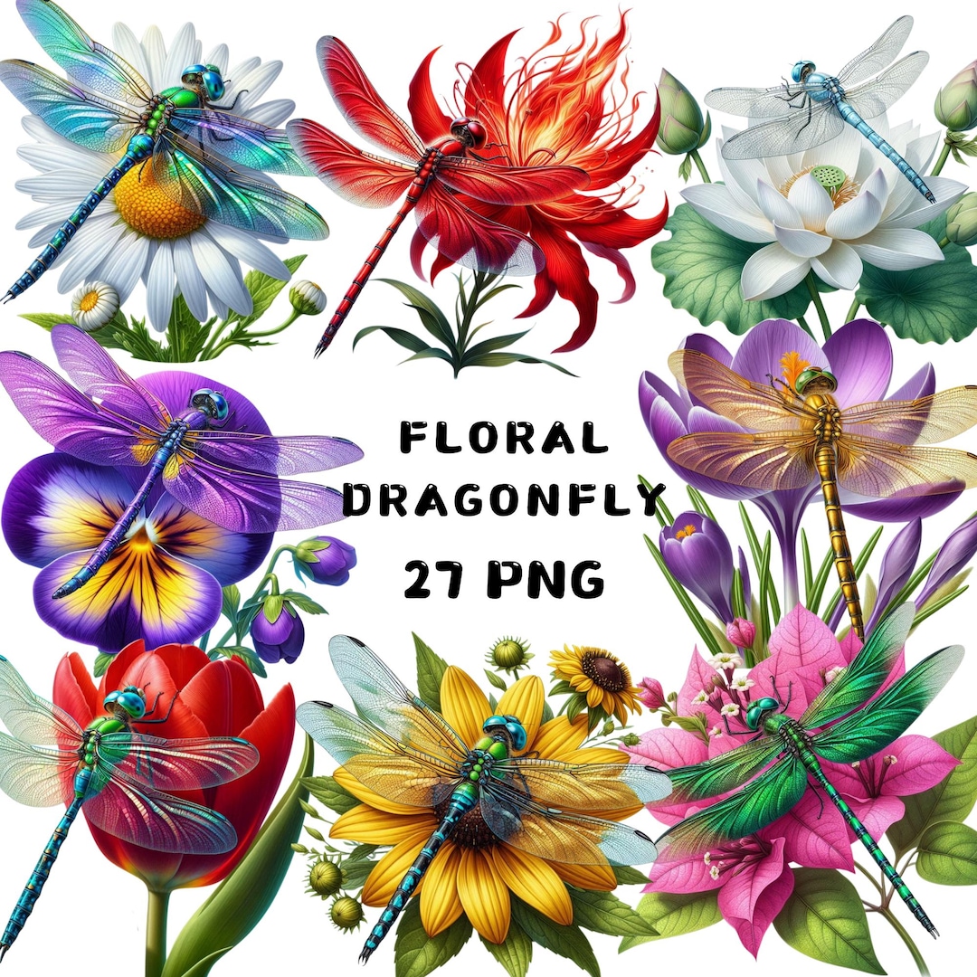 Watercolor Floral Dragonfly Clipart, Delicate Insect PNG, Garden ...
