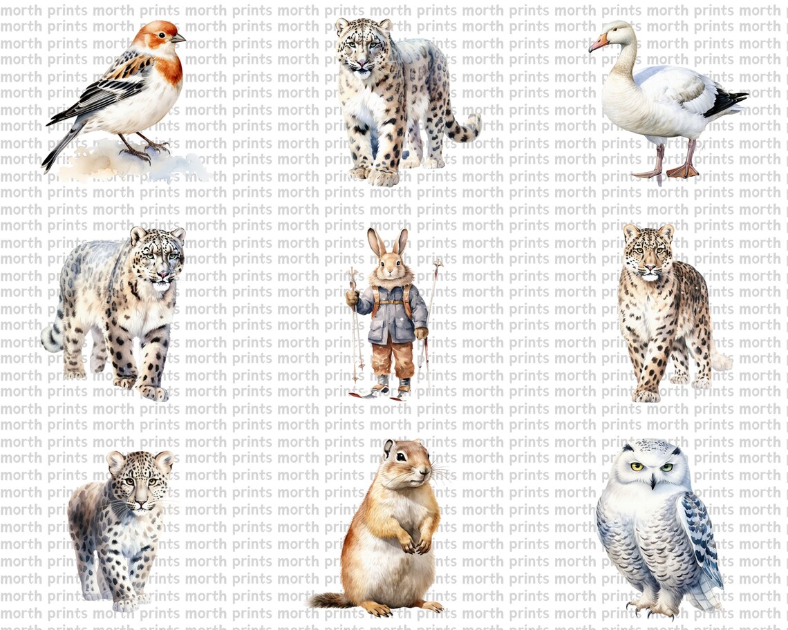 50 Watercolor Winter Animals Clipart polar Bear, Penguin, Snow Leopard ...