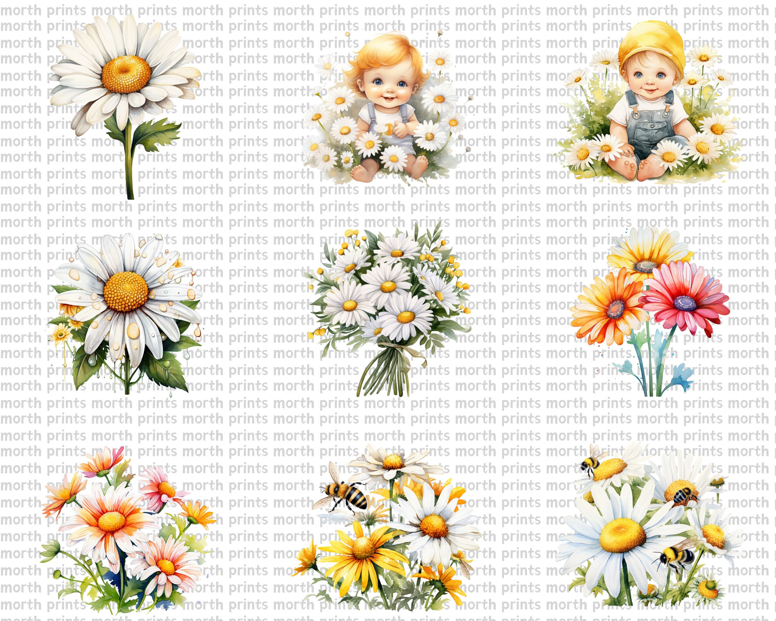 80 Watercolor Daisies Clipart Spring Flower, Floral Bouquet, White ...