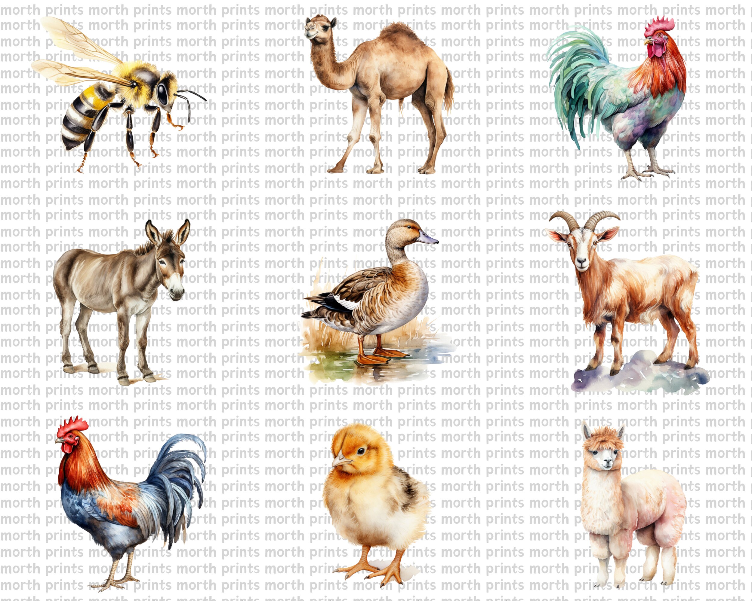 Watercolor Farm Animals Clipart PNG, Cow Pig Horse Goat Sheep, 55 PNG ...