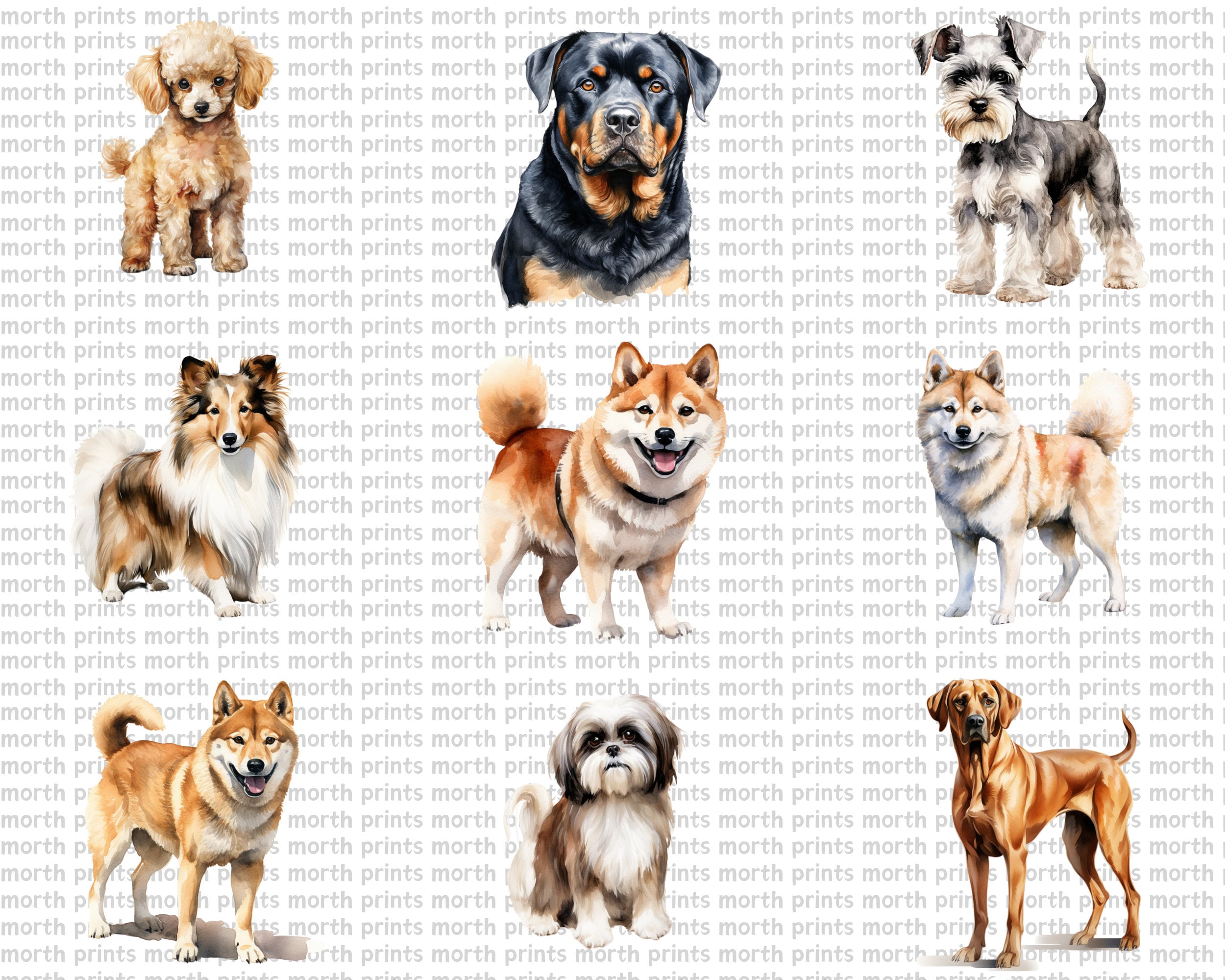 Watercolor Dog Breeds Clipart PNG, Labrador & Golden Retriever, 50 PNG ...