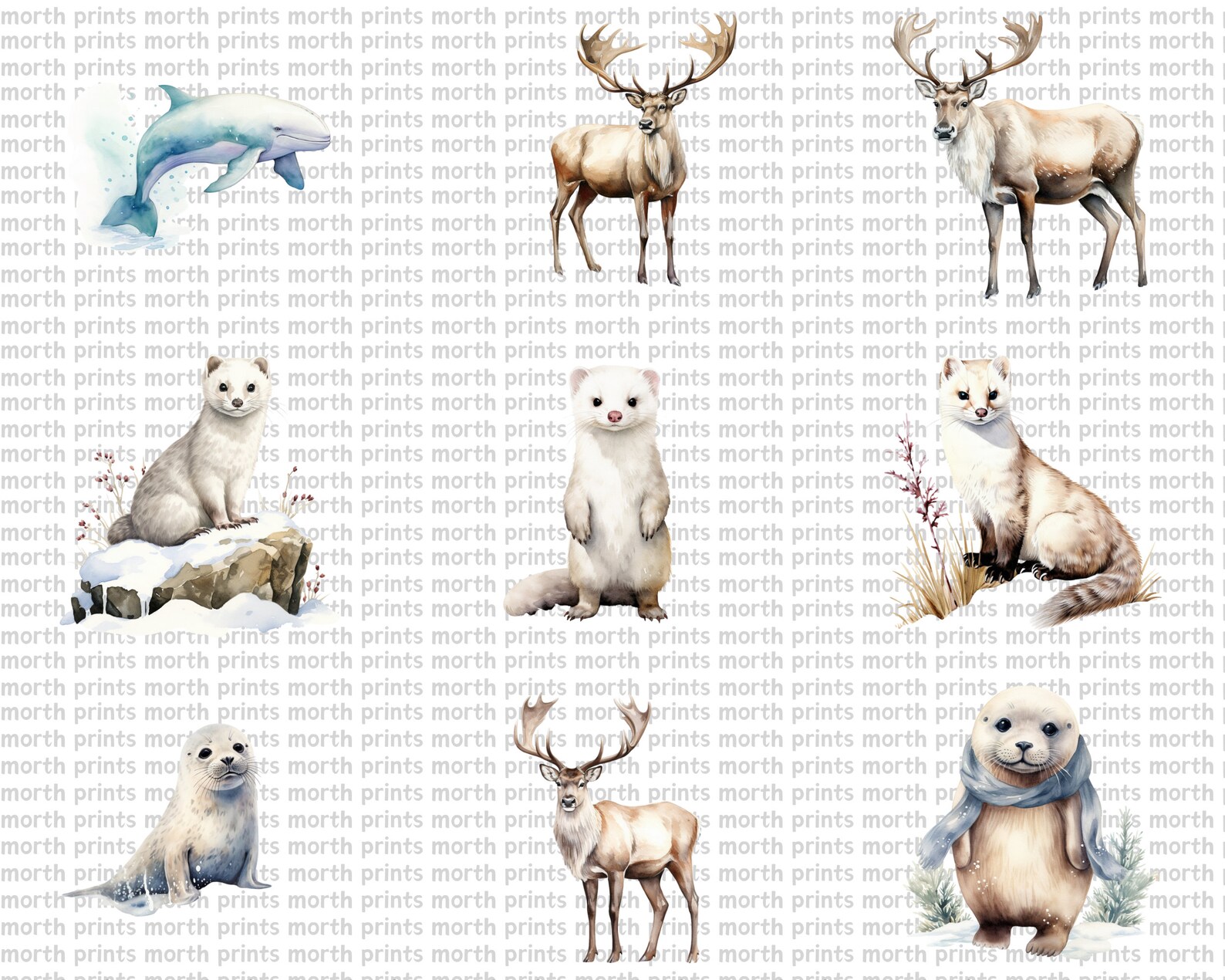 50 Watercolor Winter Animals Clipart polar Bear, Penguin, Snow Leopard ...