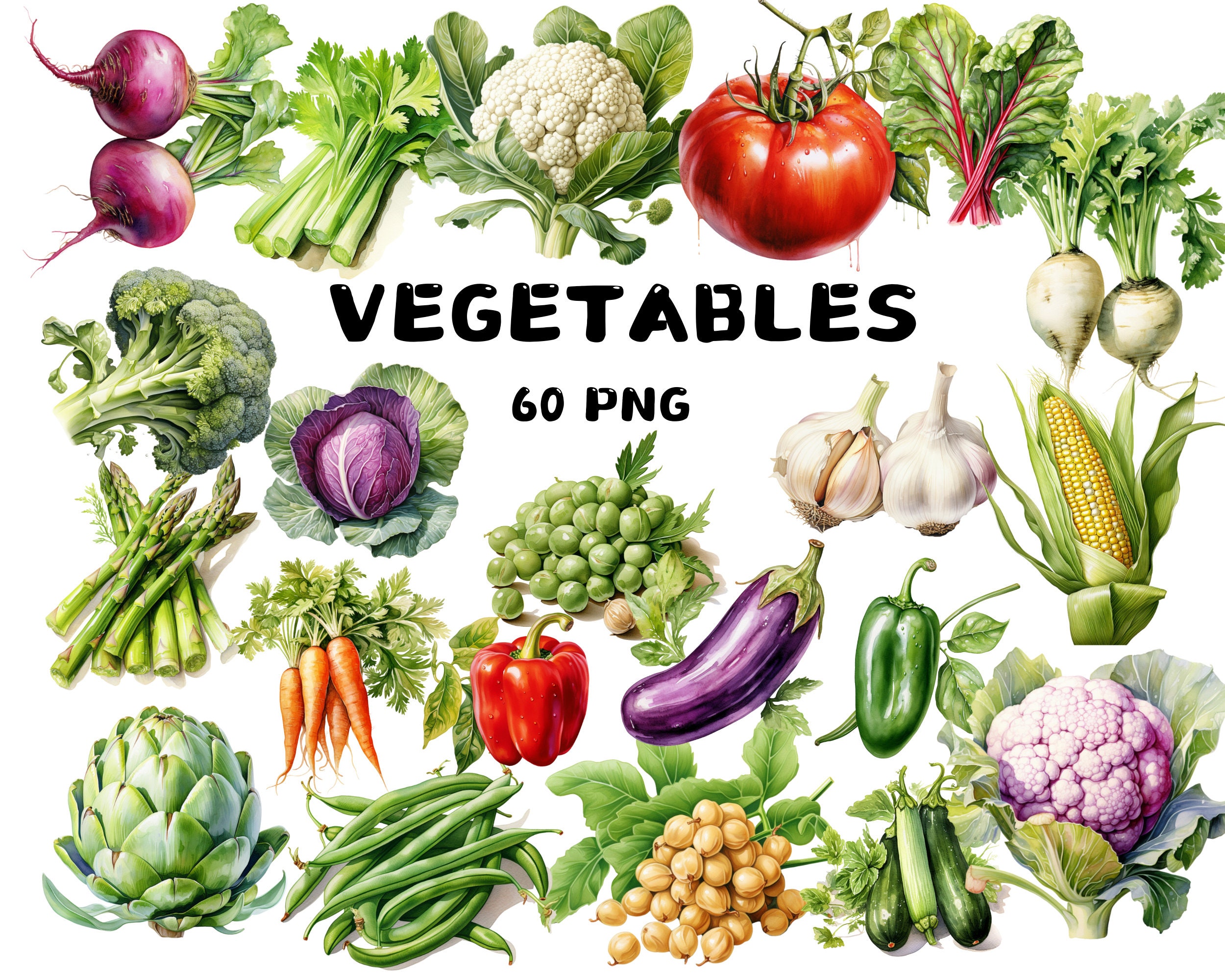 60 Watercolor Vegetables Clipart onion, Tomato, Carrot, Cucumber ...