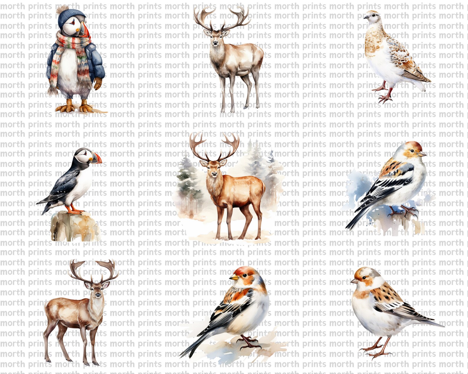 50 Watercolor Winter Animals Clipart polar Bear, Penguin, Snow Leopard ...