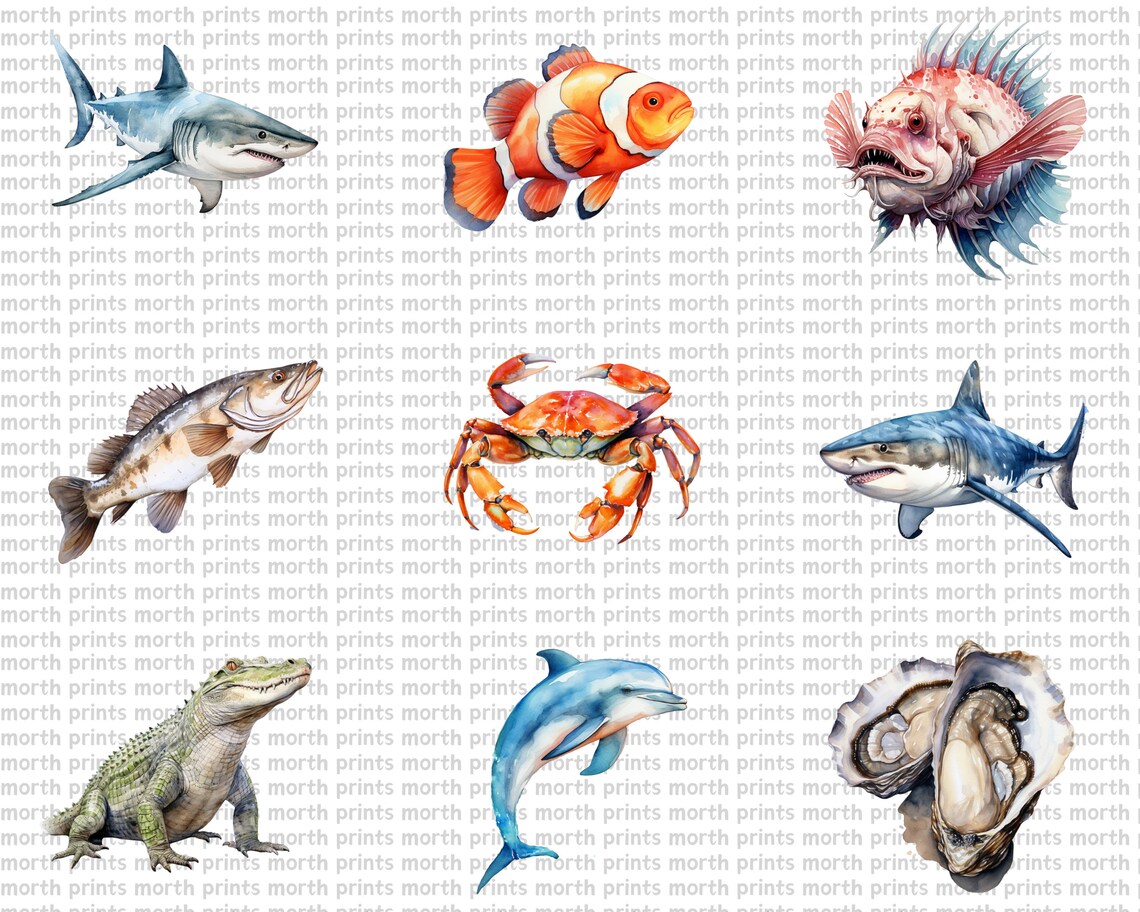 50 Watercolor Sea Life Clipart Octopus, Penguin, Turtle, Clownfish ...