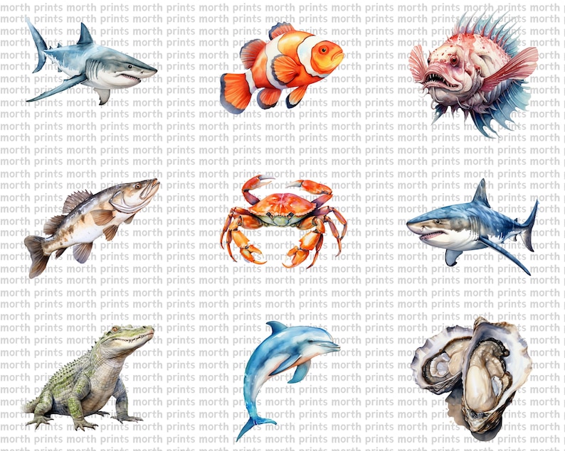 Watercolor Sea Life Clipart, Ocean Animals, Fish Whale Dolphin Turtle ...