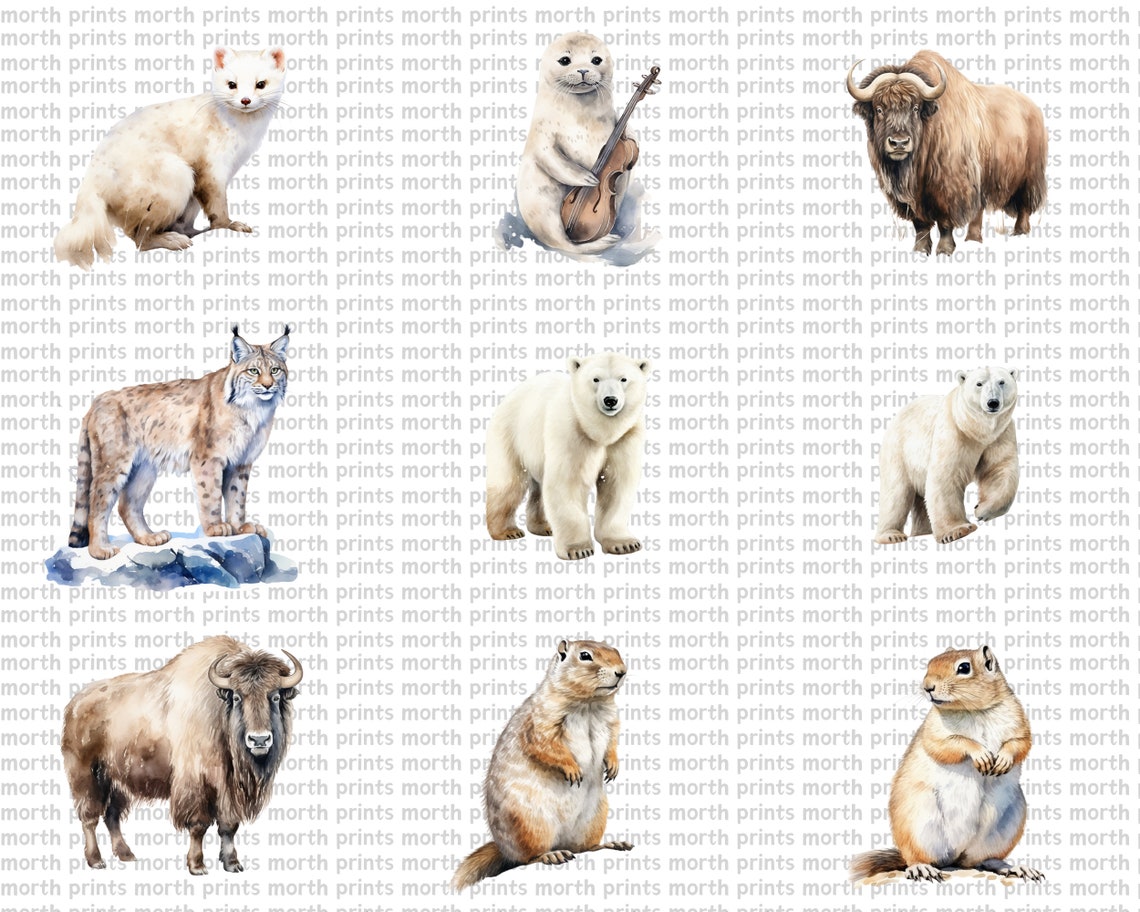 50 Watercolor Winter Animals Clipart polar Bear, Penguin, Snow Leopard ...