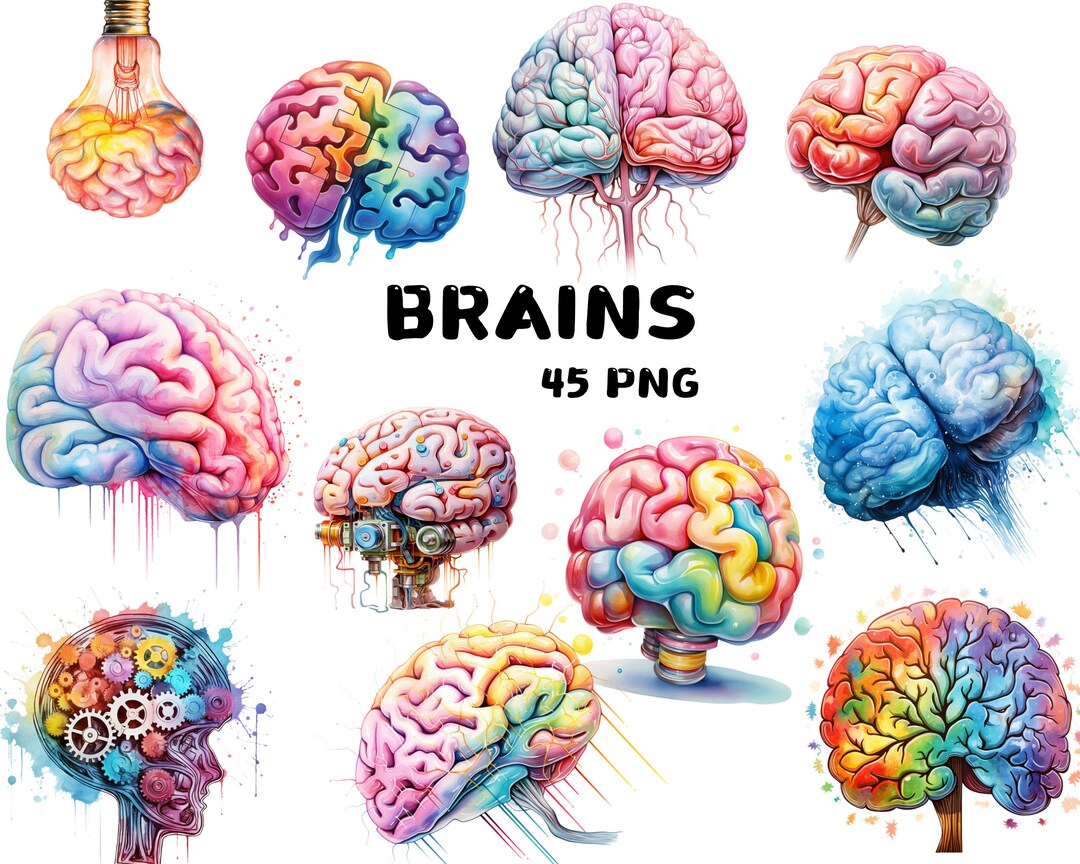 45 Watercolor Brains Clipart , , Colorful Painted Brain, Illustrations ...