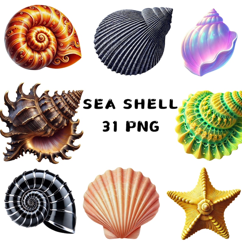 Sea Shell Clipart PNG, Ocean Coral & Beach Shell Illustrations ...