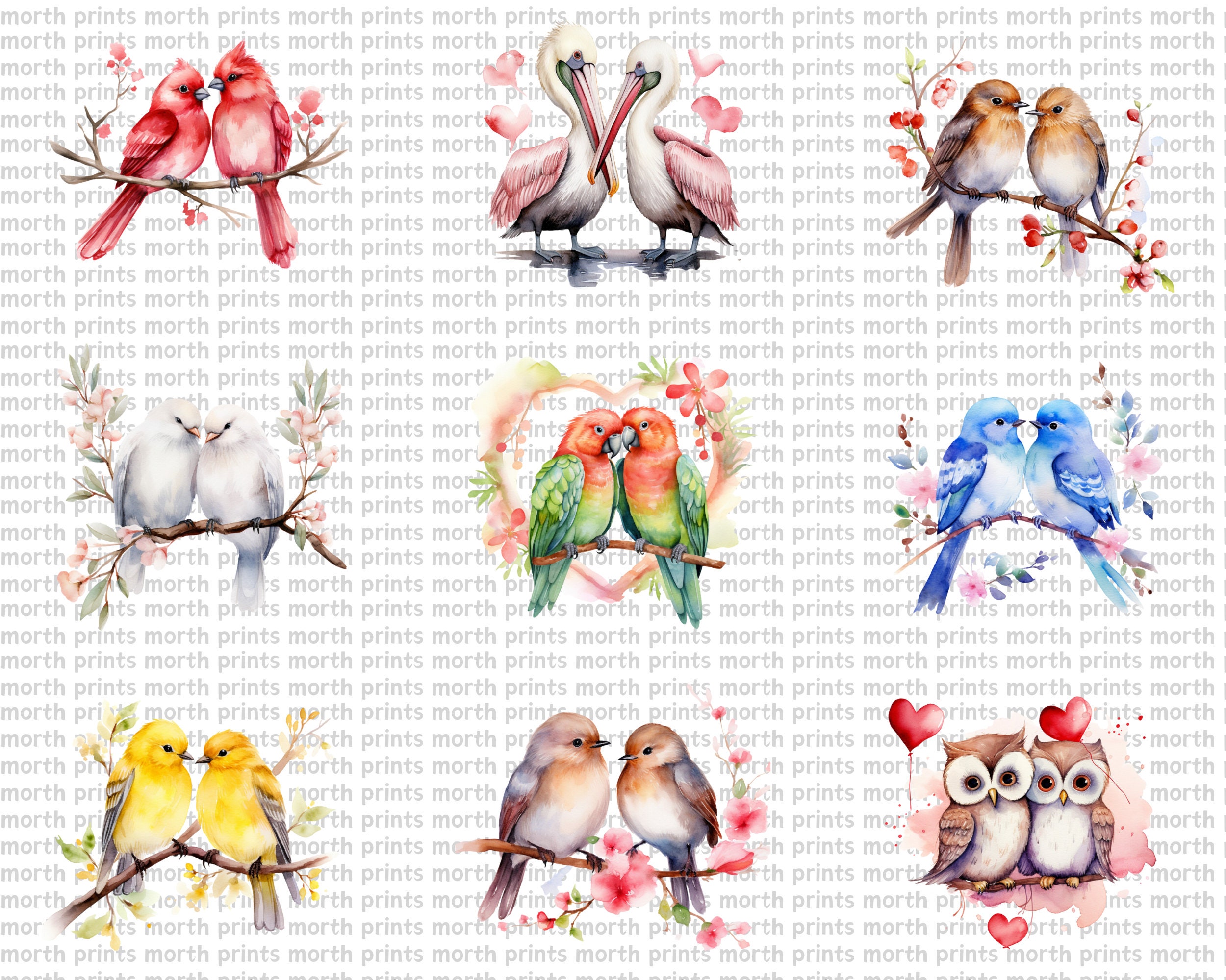 Watercolor Love Birds Clipart PNG, Valentine’s Day Lovebirds, Hearts ...