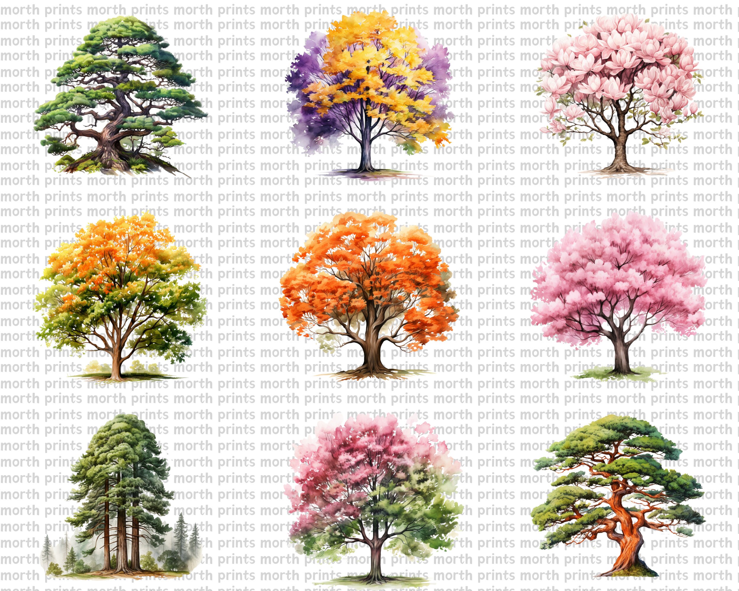 40 Watercolor Trees Clipart Painted Colorful Tree Clipart Tree, Leaves ...