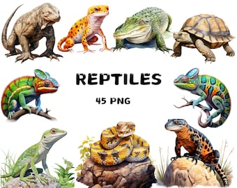 Reptiles Watercolor Clipart, Chameleon, Lizard, Snake, Turtle ...