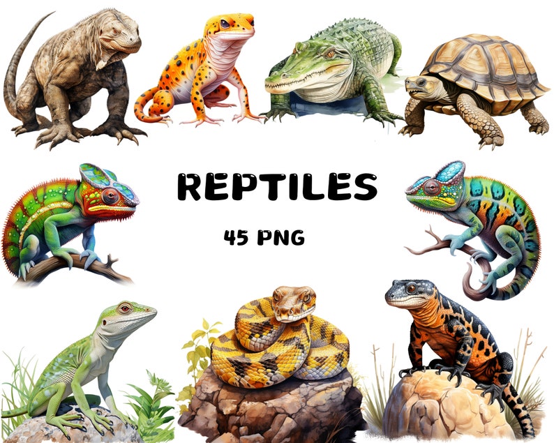 Watercolor Reptiles Clipart, Snake, Lizard & Turtle, 45 PNG Files, 300 ...