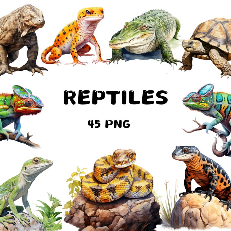 Reptile Clipart - Etsy