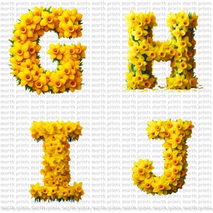 38 PNG Daffodil Alphabet Clipart , Alphabet PNG, Floral Clipart, Floral ...