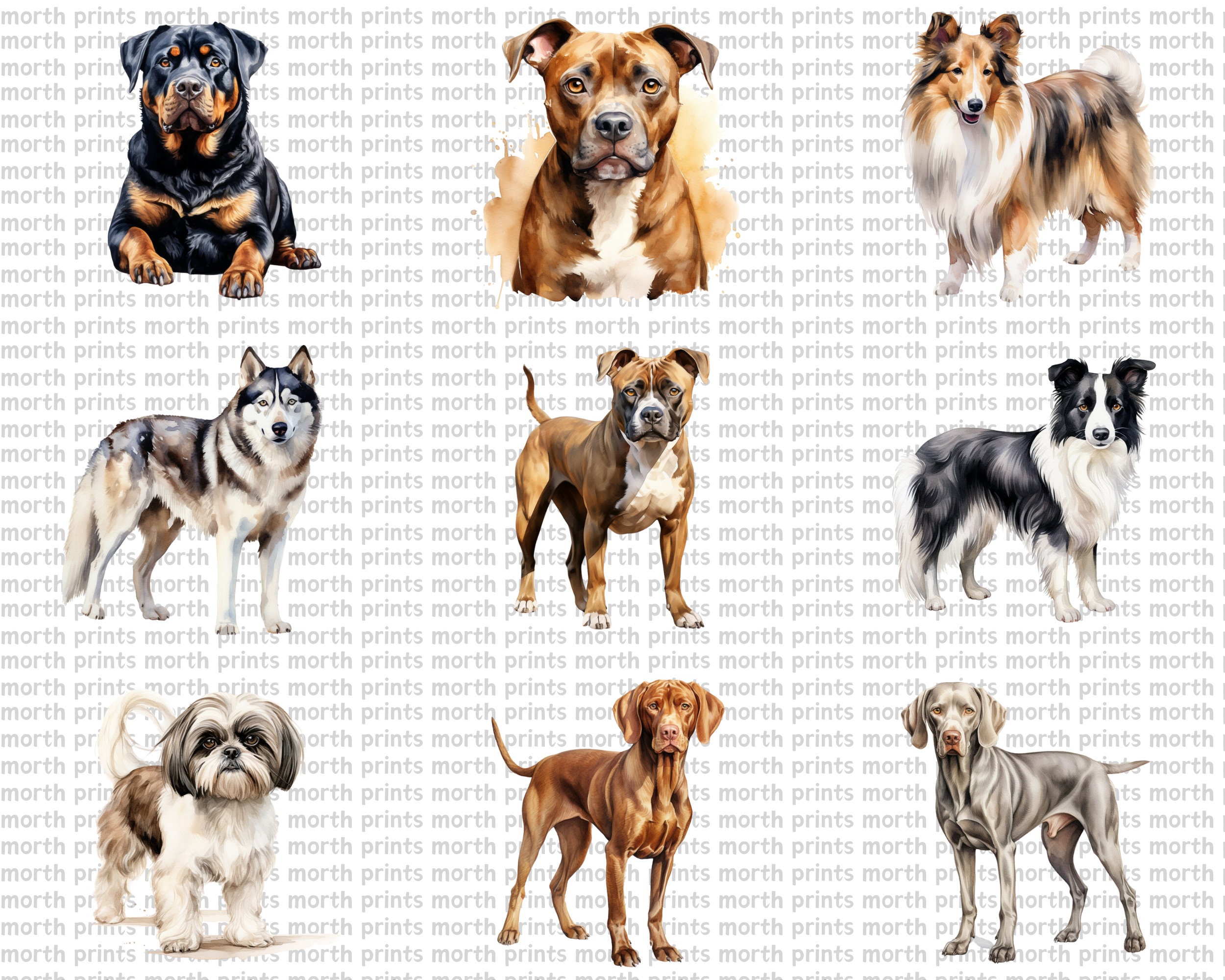 Watercolor Dog Breeds Clipart PNG, Labrador & Golden Retriever, 50 PNG ...