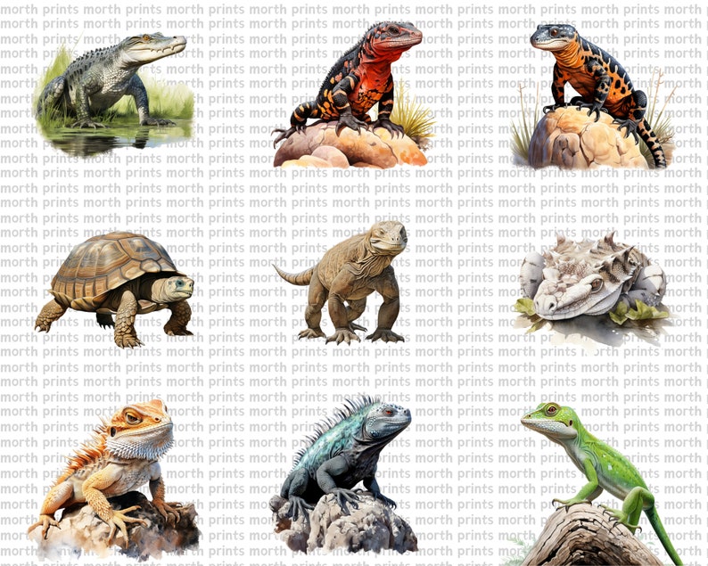 Watercolor Reptiles Clipart, Snake, Lizard & Turtle, 45 PNG Files, 300 ...