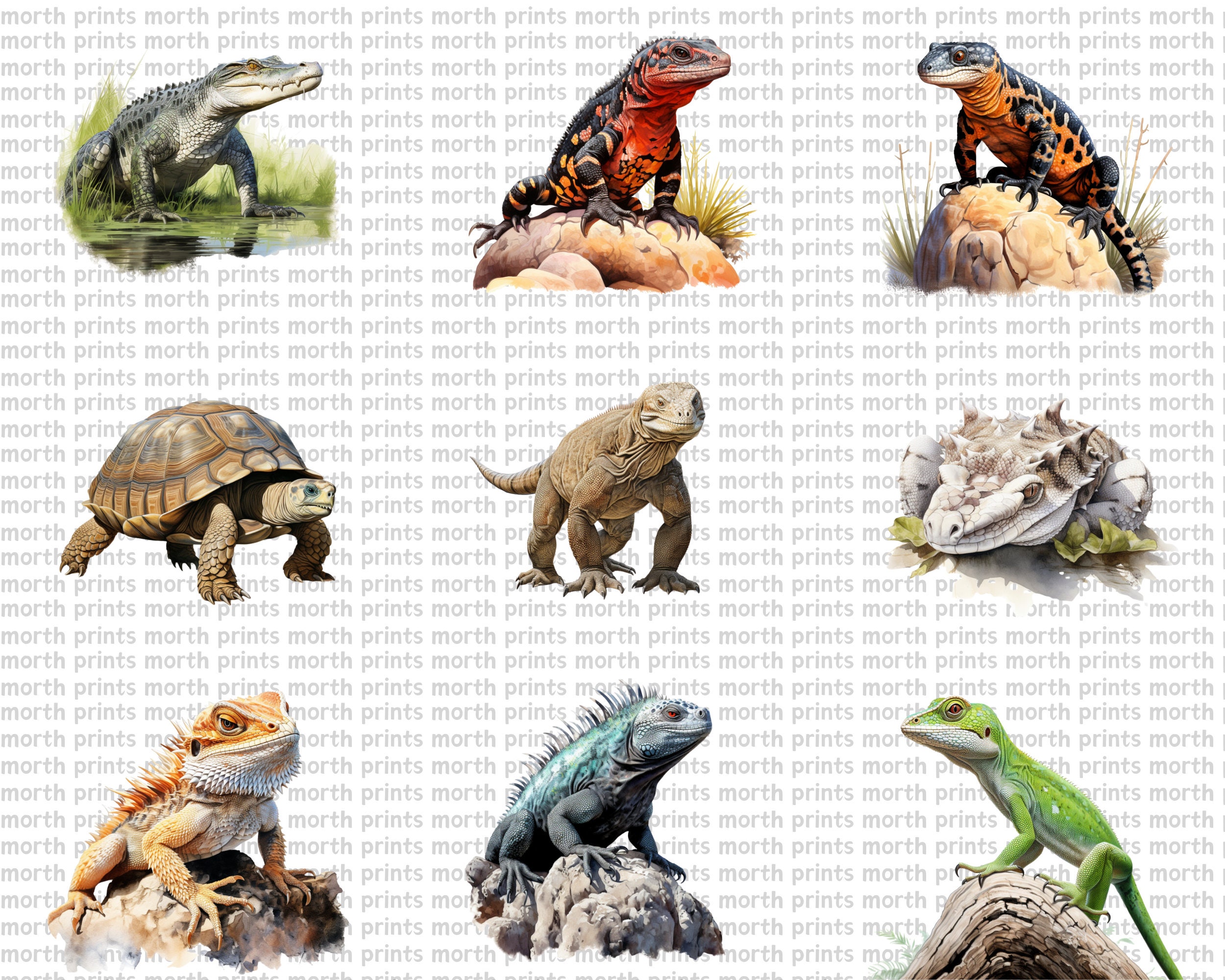 45 Watercolor Reptiles Clipart Snake, Turtle, Crocodile, Lizard ...