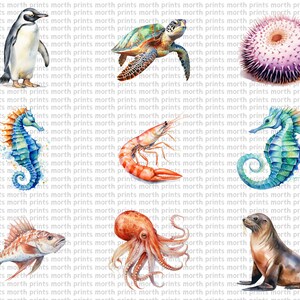 50 Watercolor Sea Life Clipart , Octopus, Penguin, Turtle, Clownfish ...