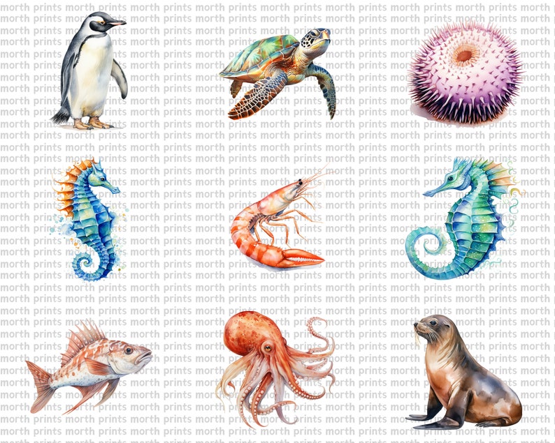 50 Watercolor Sea Life Clipart Octopus, Penguin, Turtle, Clownfish ...