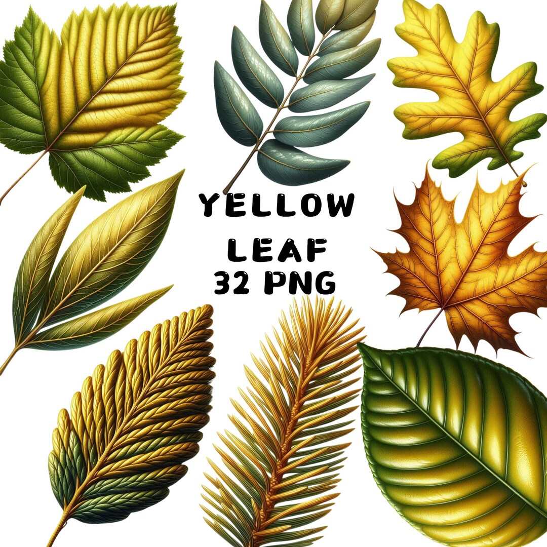 32 PNG Yellow Leaf Clipart , Leaf Png, Glitter Png, Autumn Clipart ...
