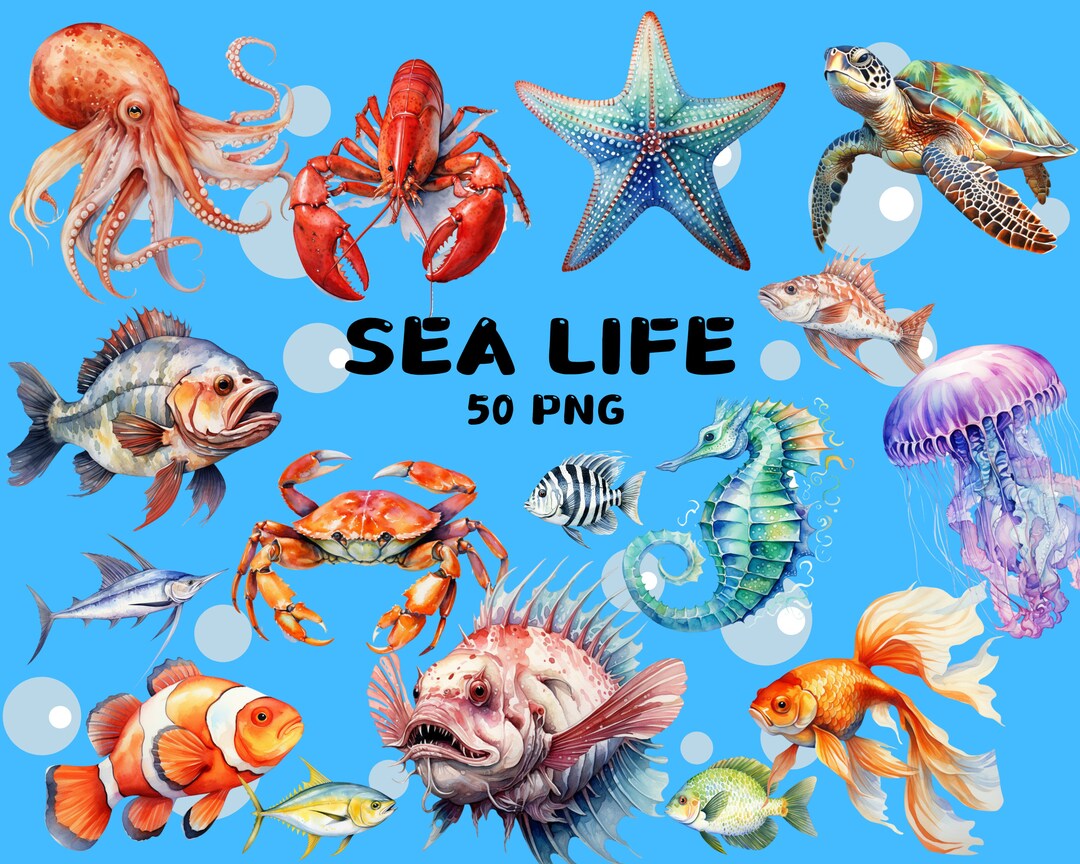 50 Watercolor Sea Life Clipart , Octopus, Penguin, Turtle, Clownfish ...