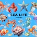 Watercolor Sea Life Clipart, Ocean Animals, Fish Whale Dolphin Turtle ...