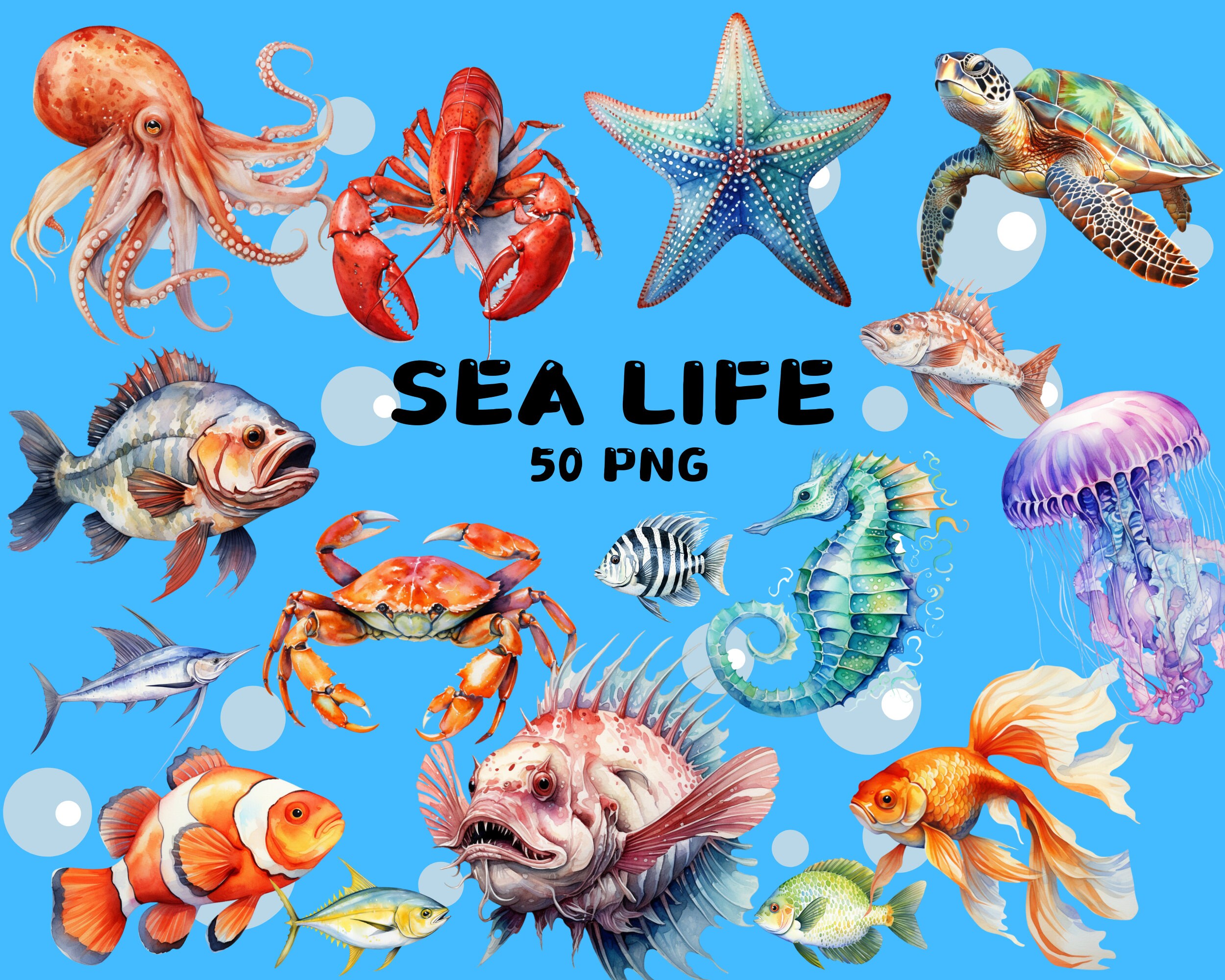 Watercolor Sea Life Clipart, Ocean Animals, Fish Whale Dolphin Turtle ...